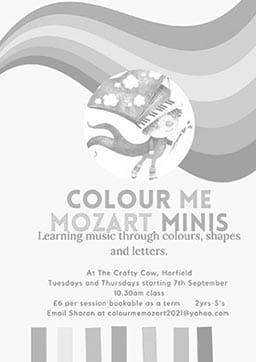 Your First Lesson – Color Me Mozart